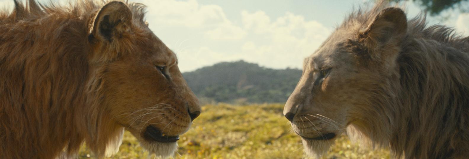 Vue Harrow Cinema - London | Harrow Cinema Film Listings & Times | Vue