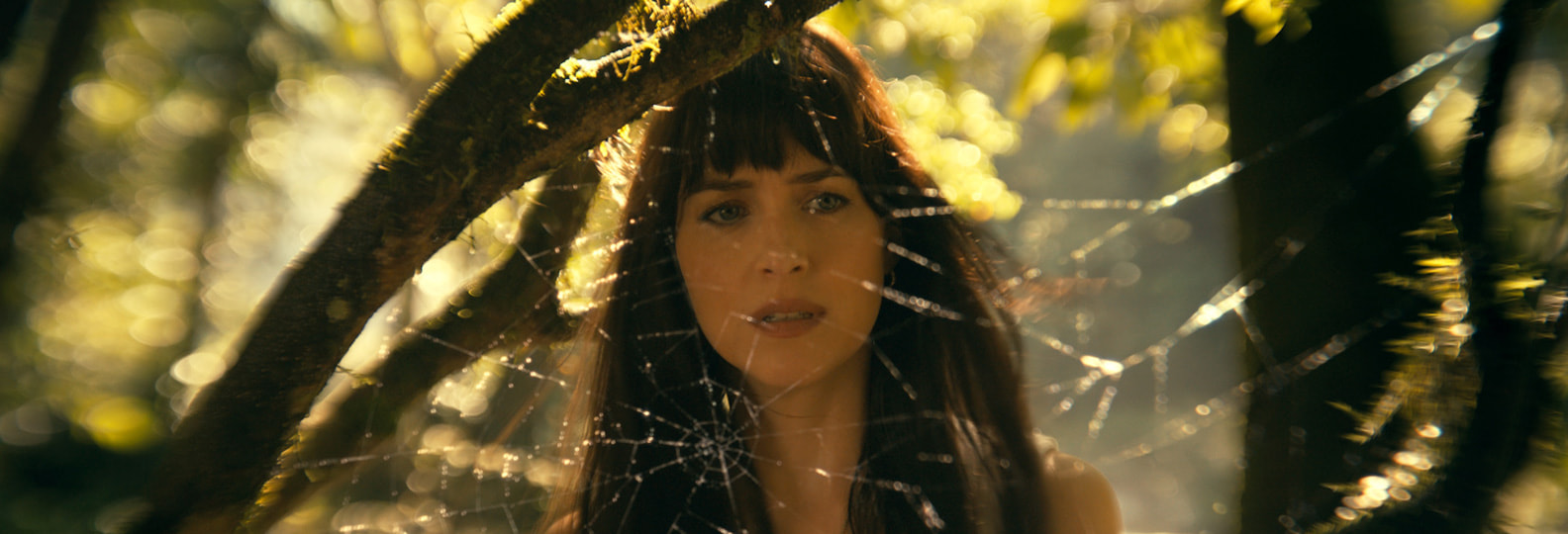 Vue Inverness Cinema | Inverness Cinema Film Listings & Times | Vue