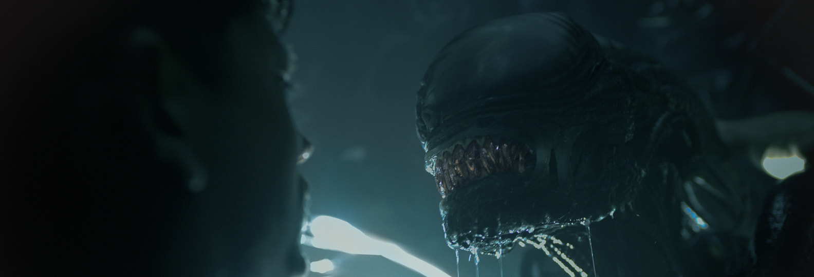 Vue | Coming Soon Cinema Listings | Book Film Tickets